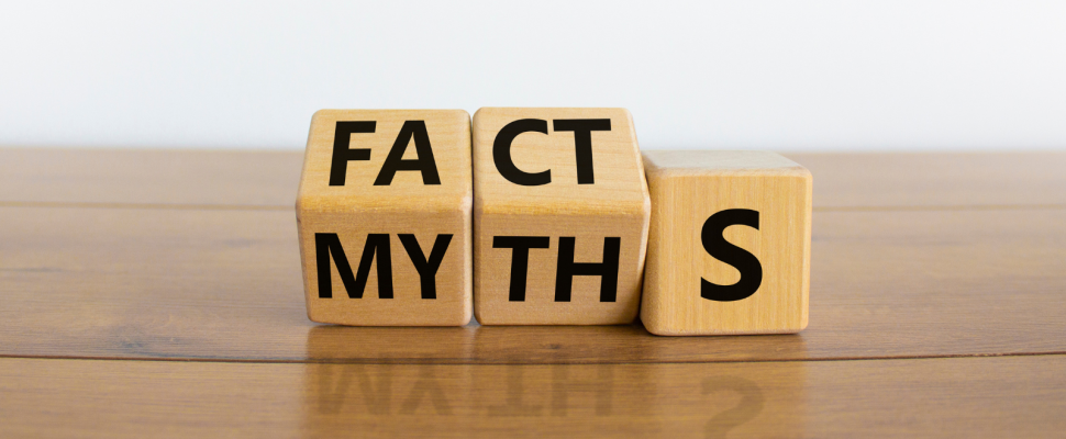 Busting Myths: Separating Cannabis Facts from Fiction • The Medicine Box